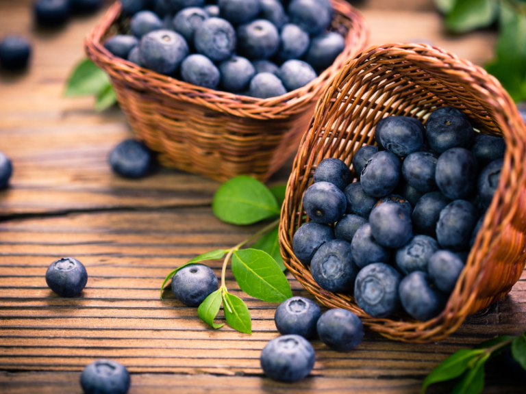 Mora azul: el antídoto natural contra la inflamación - Mujer Informa